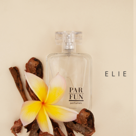 Par Fun - Inspirações Olfativas - Perfumes Contratipos