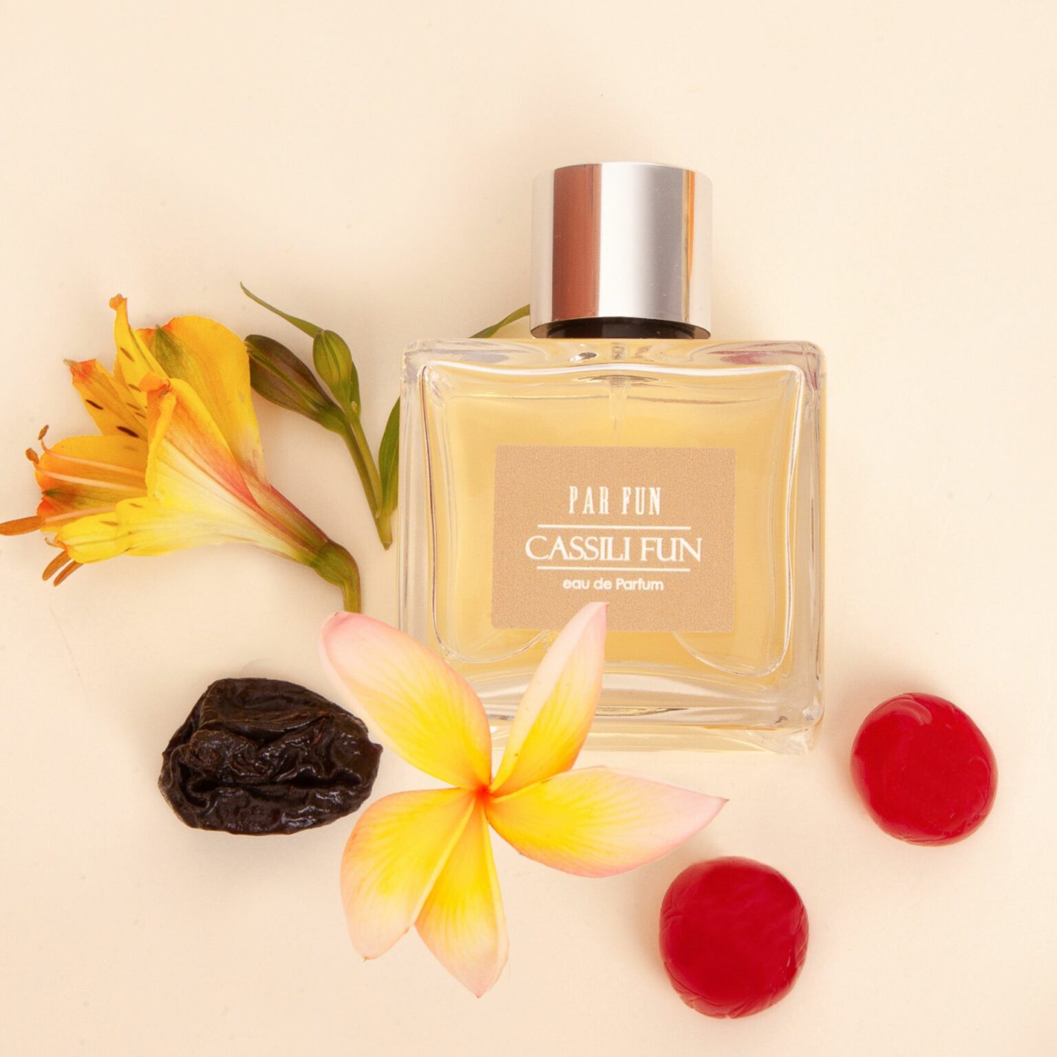 CASSILI FUN - Par Fun